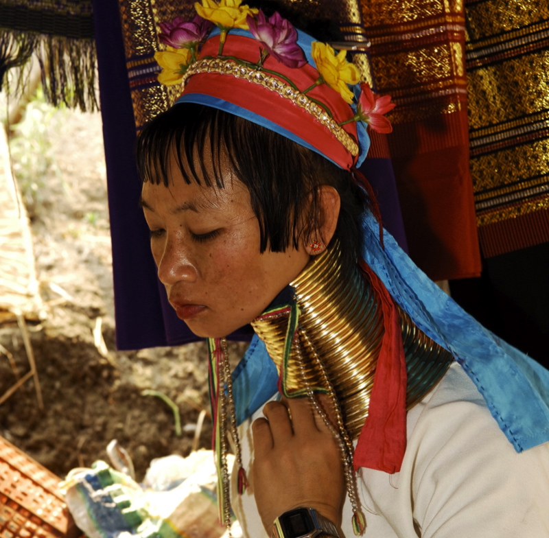 Adventures Globe | Chiang Mai Mini Safari Longneck Giraffe Women Lange ...